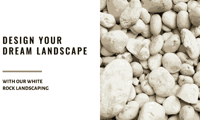 Top Modern White Rock Landscaping Ideas: Unveiling Brilliance